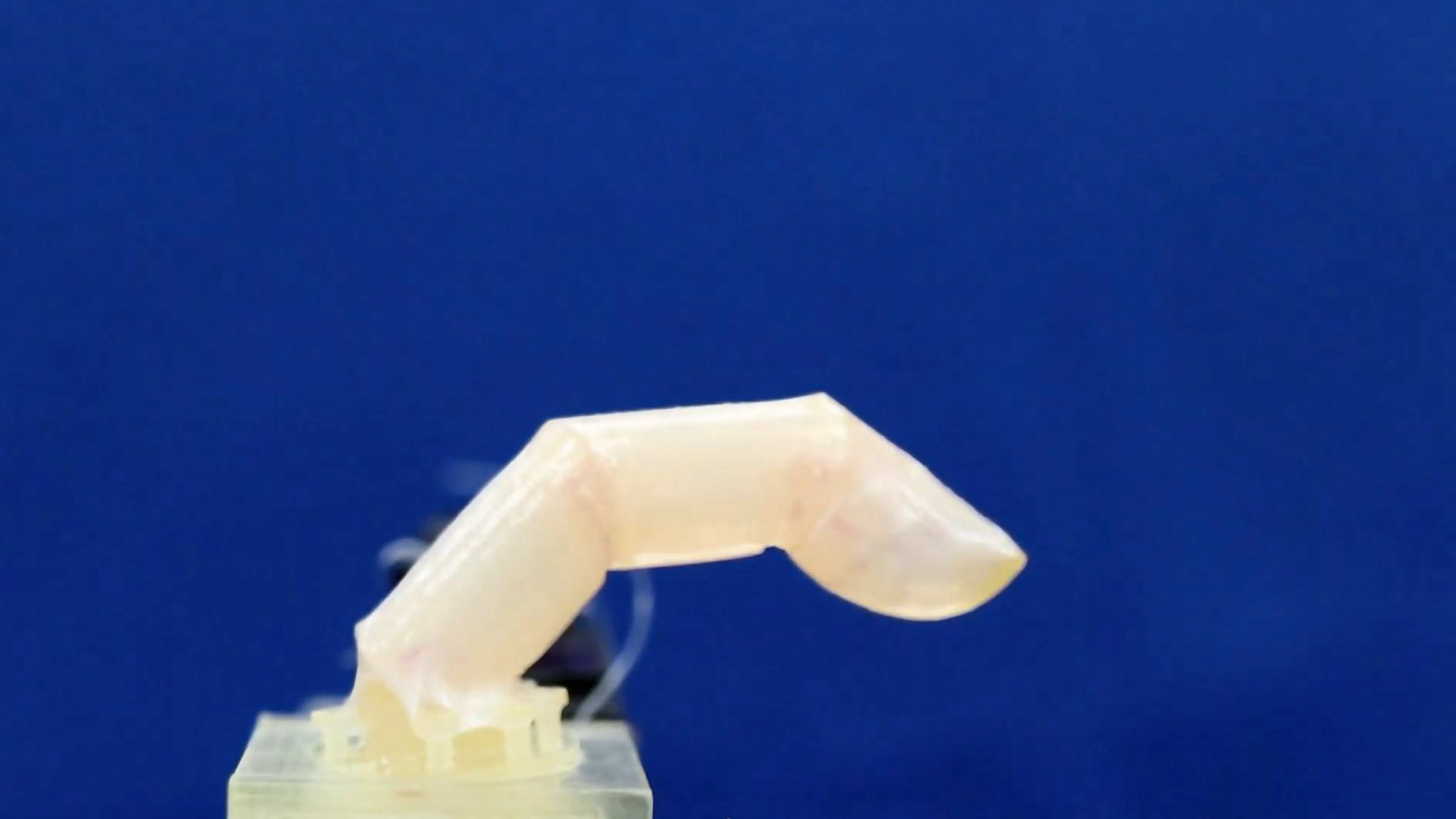 This robotic finger is covered in living human skin