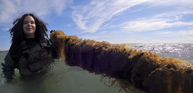 Indigenous communities bring knowledge and solutions to conservation efforts