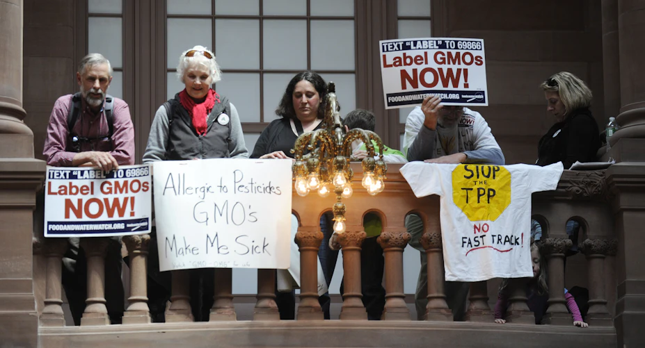 PRO/CON: Is it time to label GMO foods?