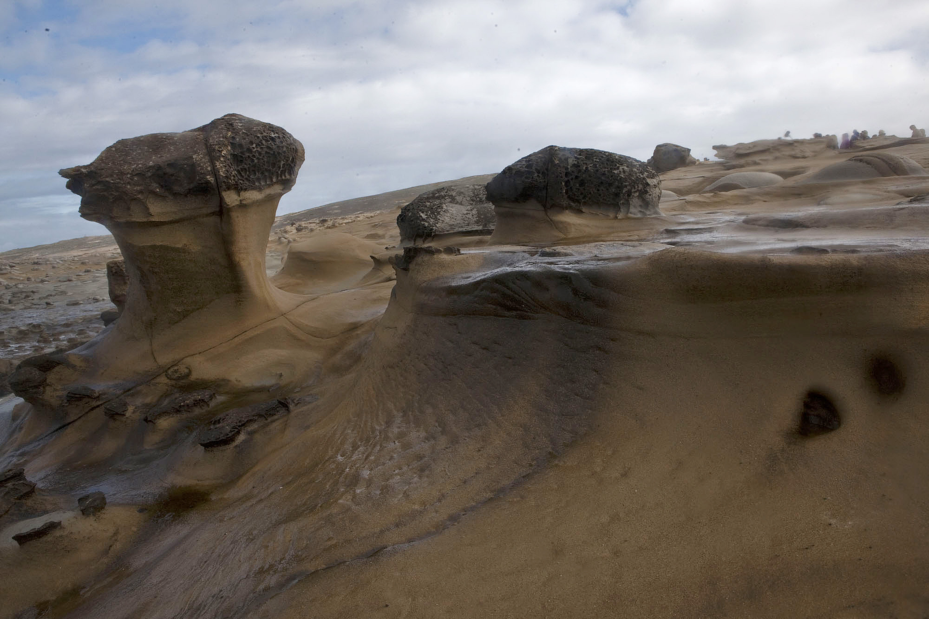 Newsela | Treasures from the real-life "Island of the Blue Dolphins ...