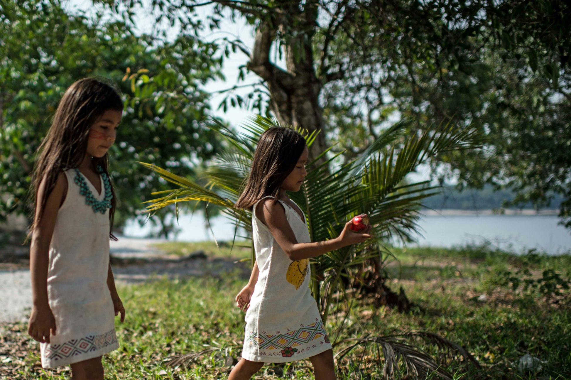 Study shows indigenous peoples in Latin America could solve climate issue