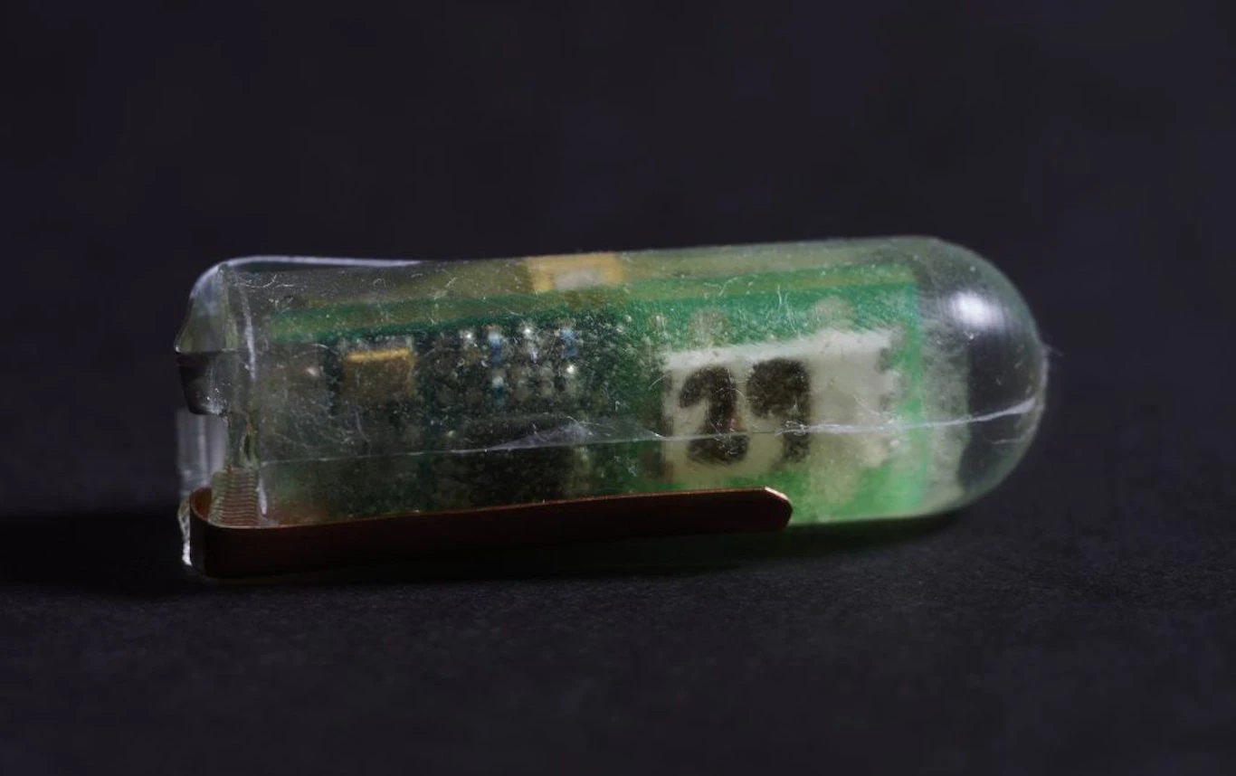 This electronic pill can send Wi-Fi updates from your tummy