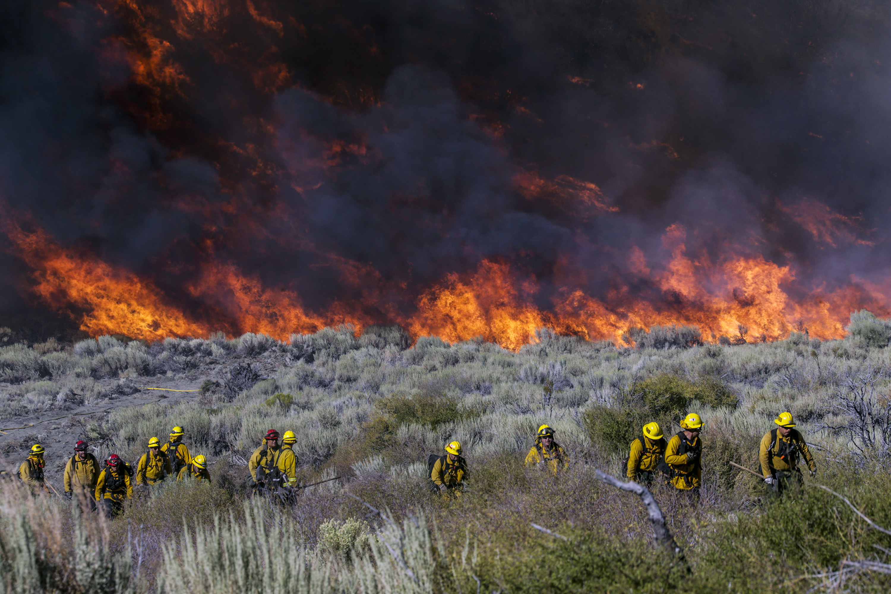 Newsela | Research study shows humans are responsible for 84 percent of ...