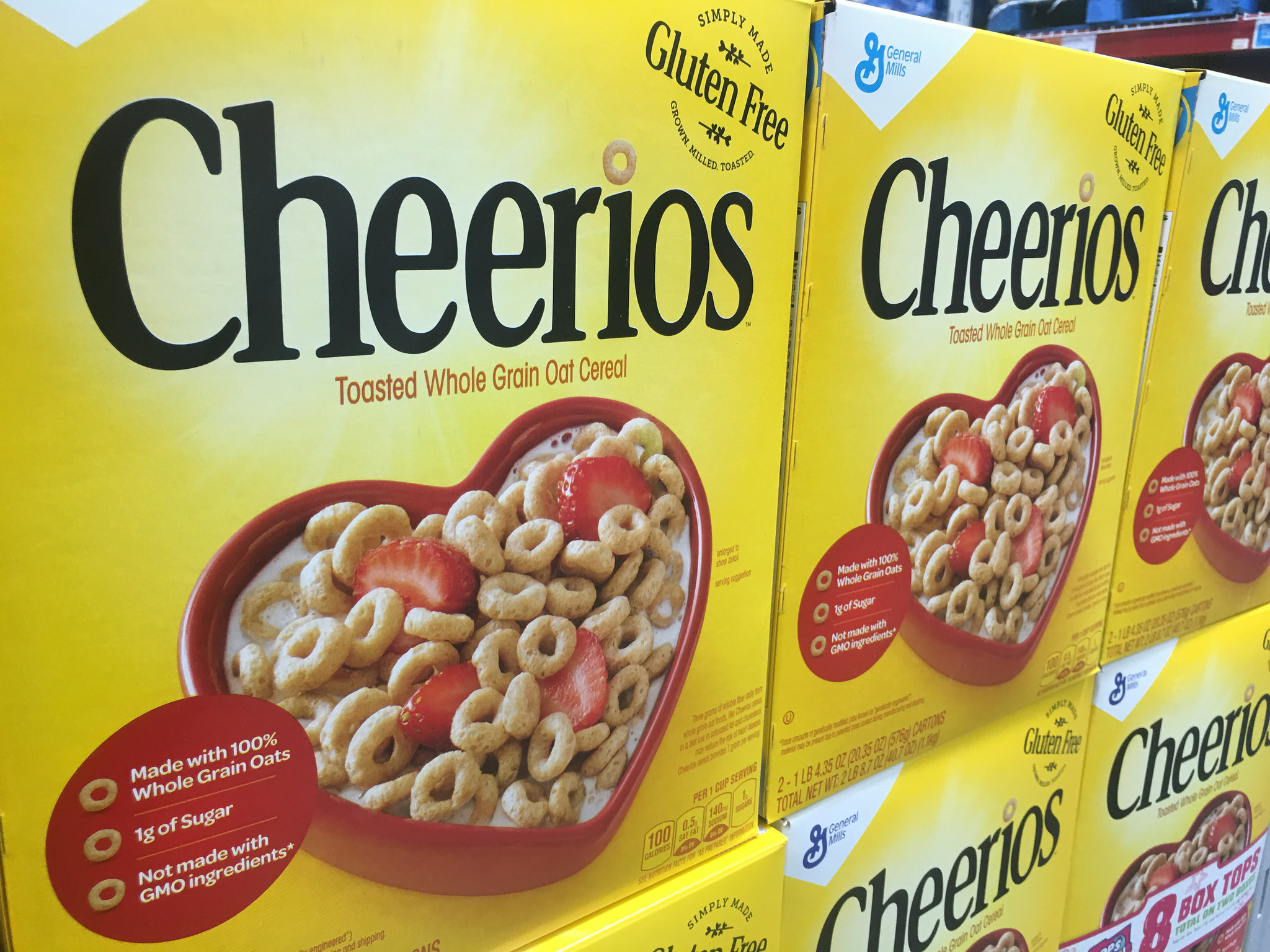 Newsela | La abeja productora de miel ha salido volando de la caja de ...