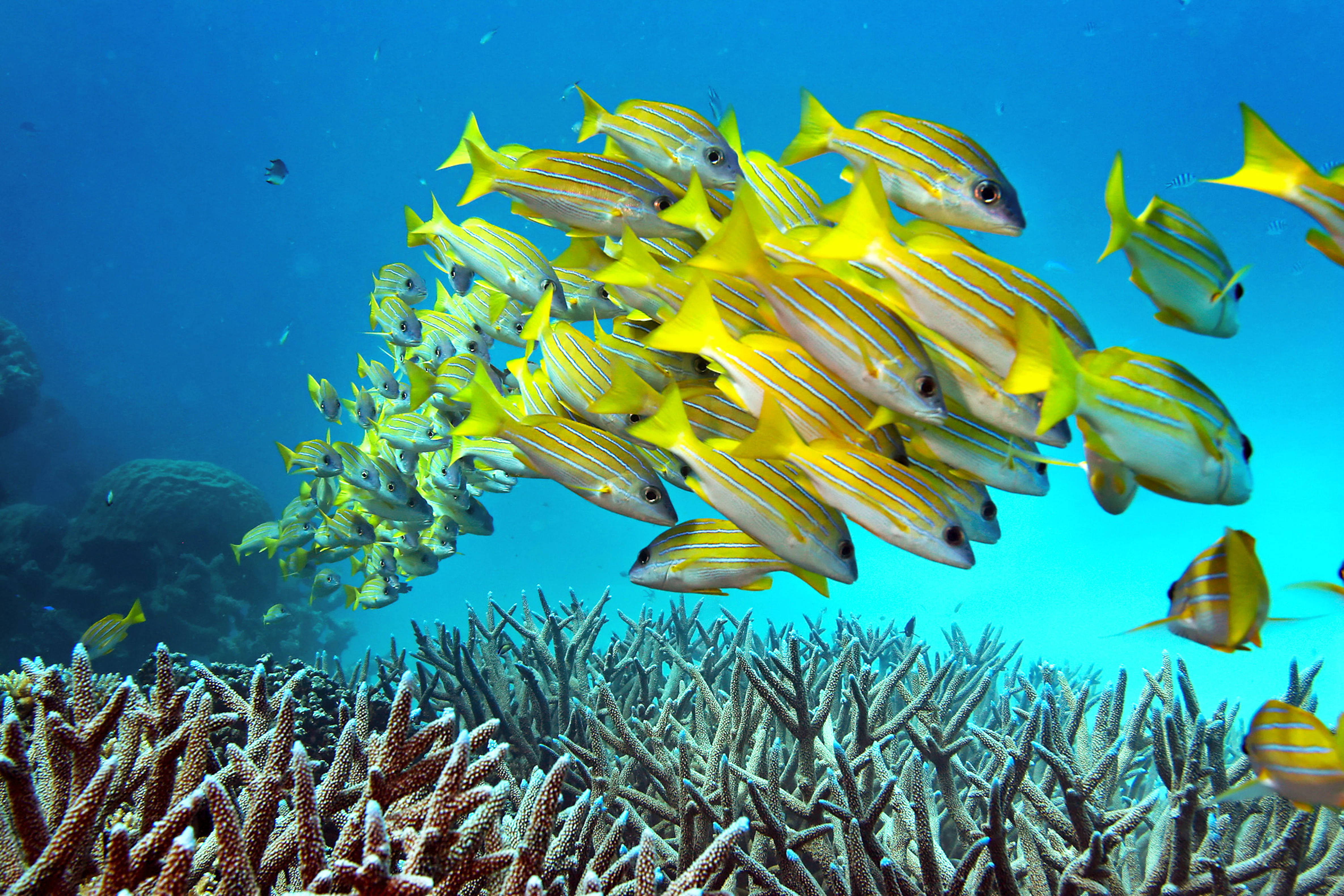 Ten interesting things about ecosystems