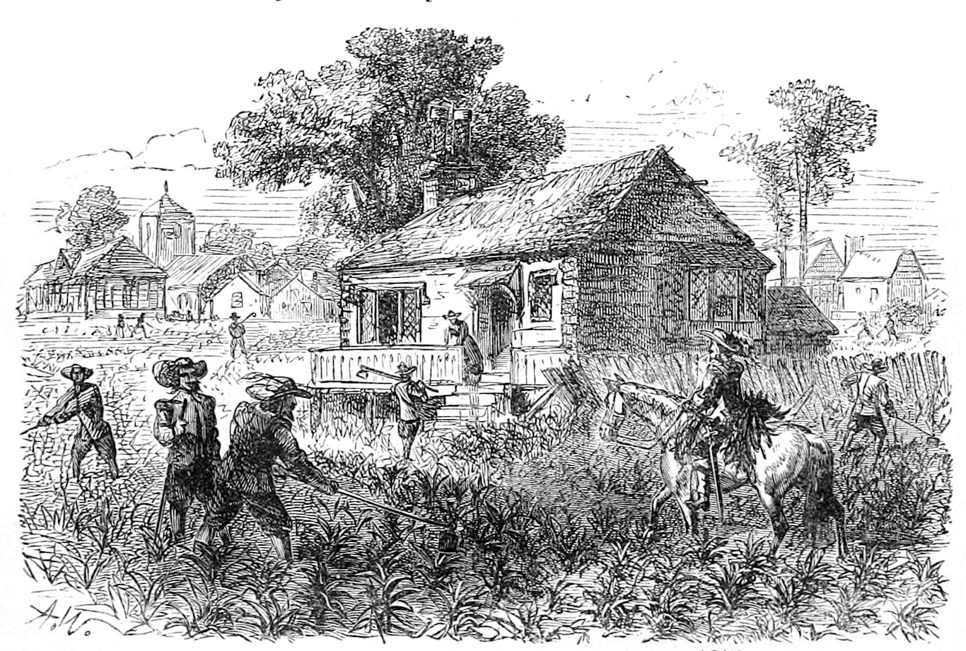 Newsela | The Growth of the Tobacco Trade in America