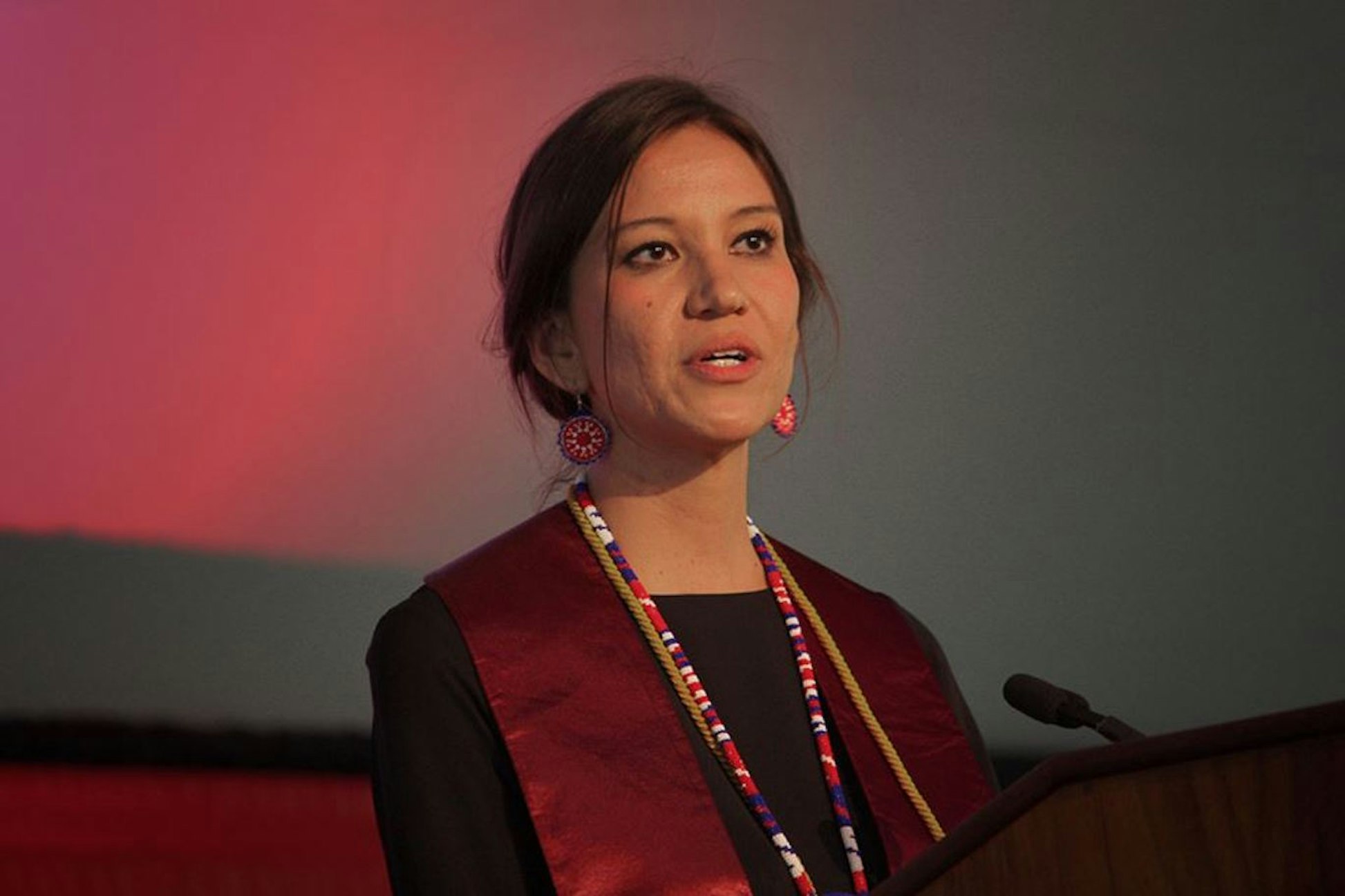 Famous Speeches: Megan Red Shirt-Shaw's Harvard Commencement Speech