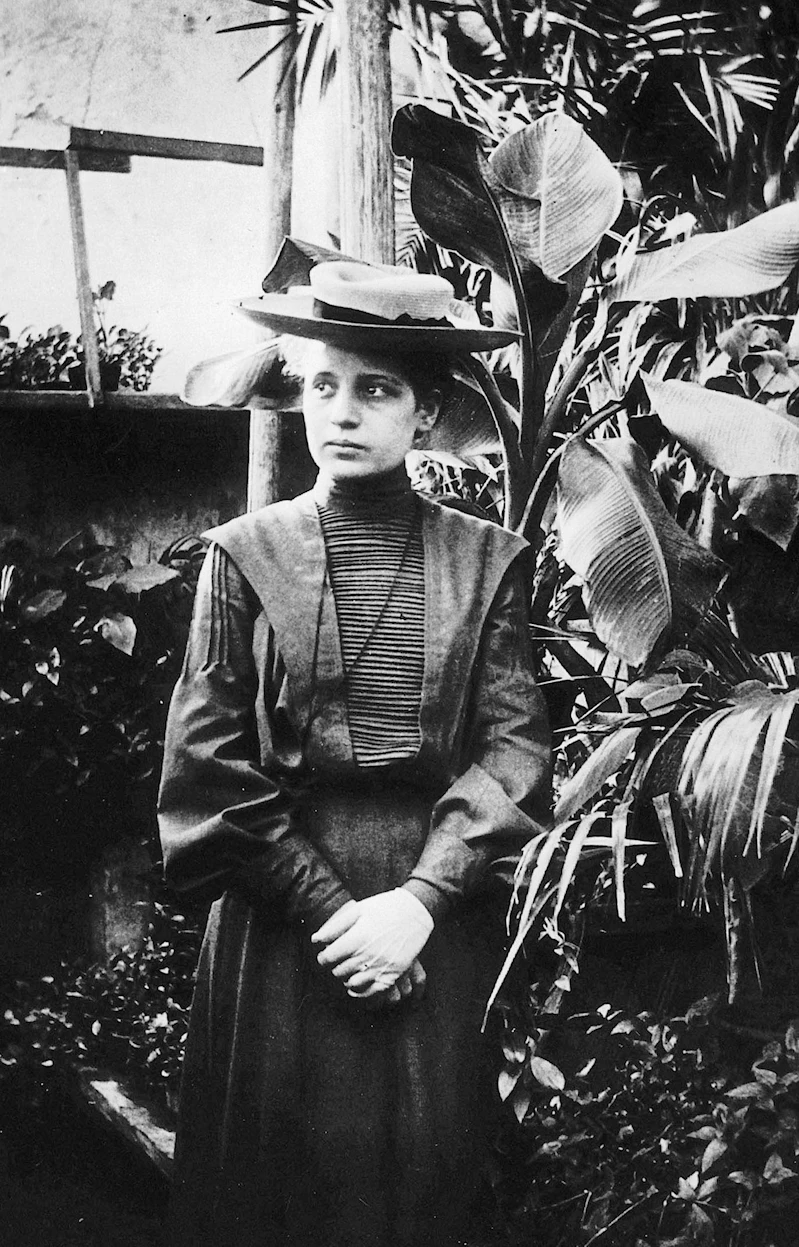 Scientist Lise Meitner helped discover nuclear fission