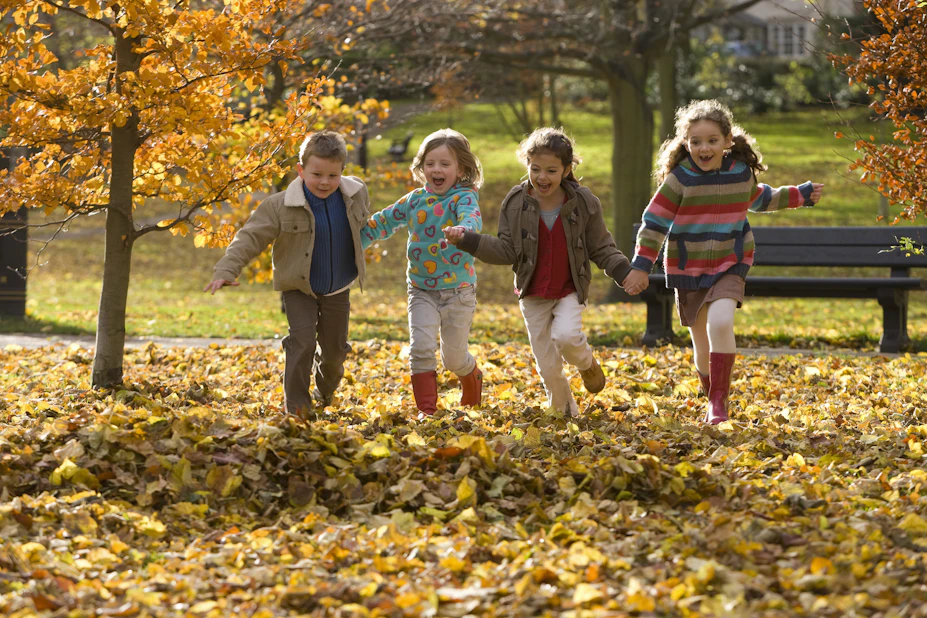 Goodbye, summer: Fall equinox on September 22 marks the first day of autumn