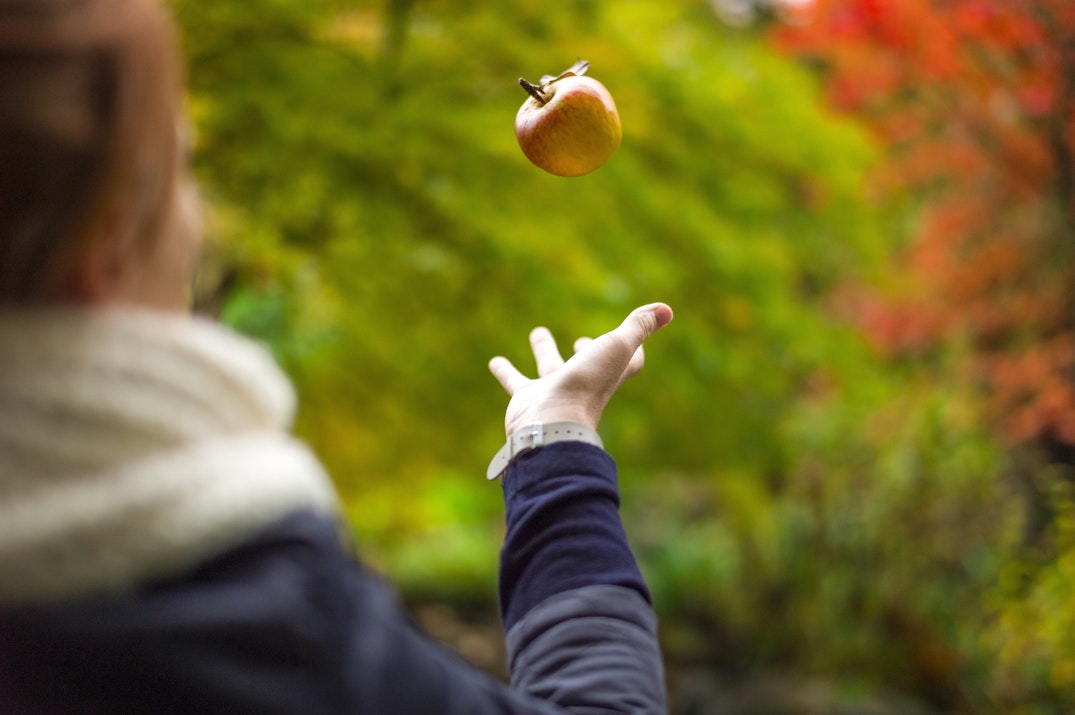 How does gravity pull things down to Earth?