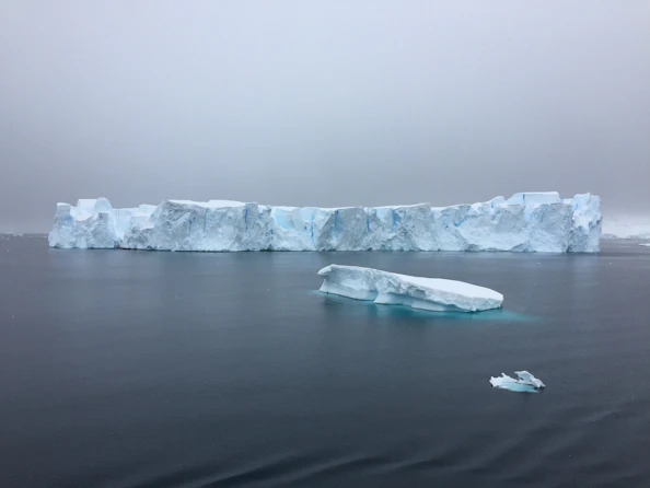 What are climate change feedback loops?