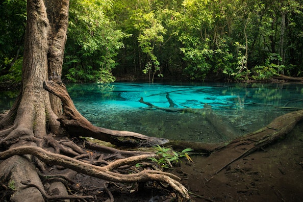 "The Enchanted Pool": A tale from Japan