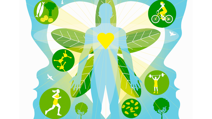 How to have a balanced health triangle