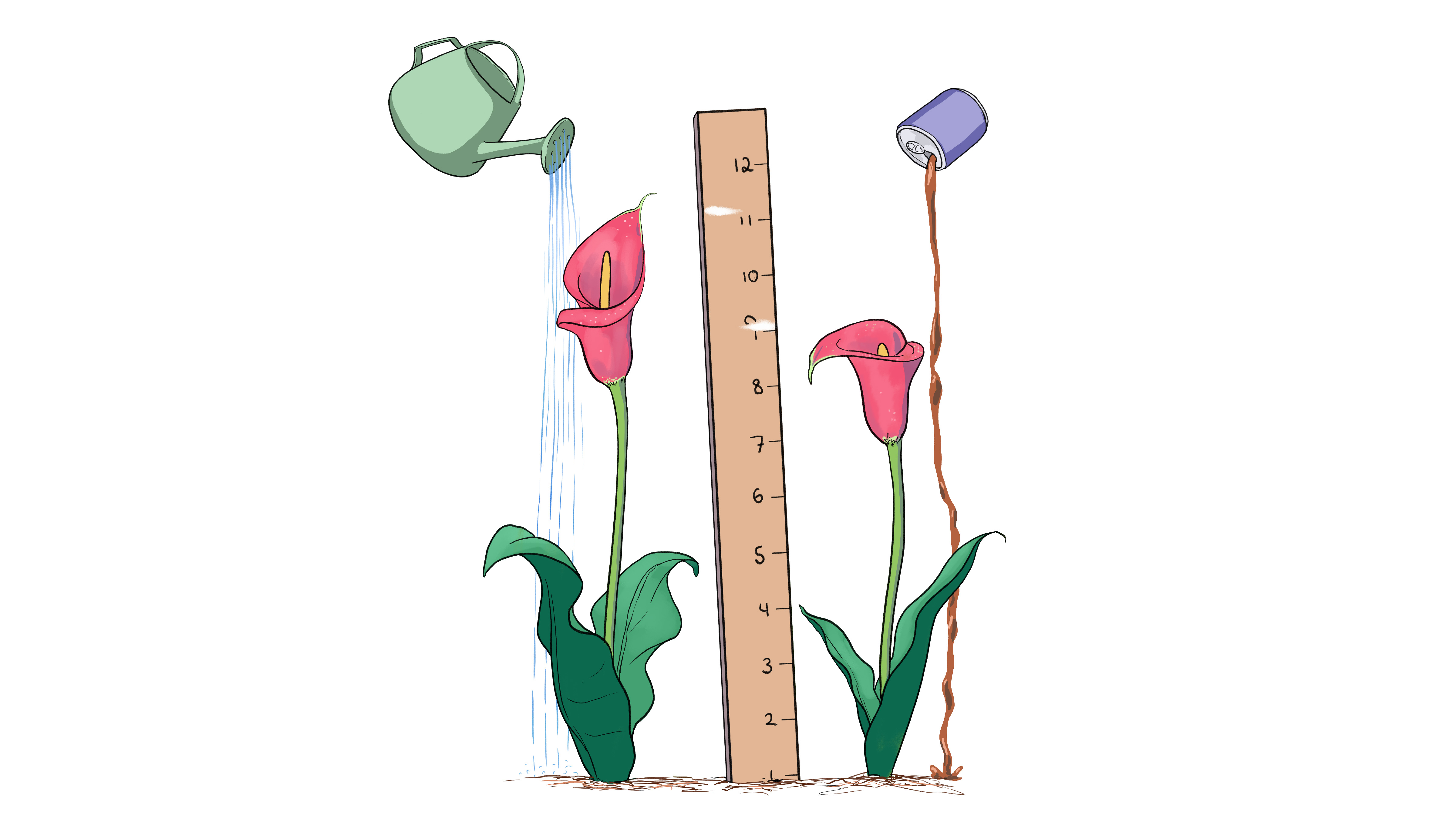Variables in your science fair project