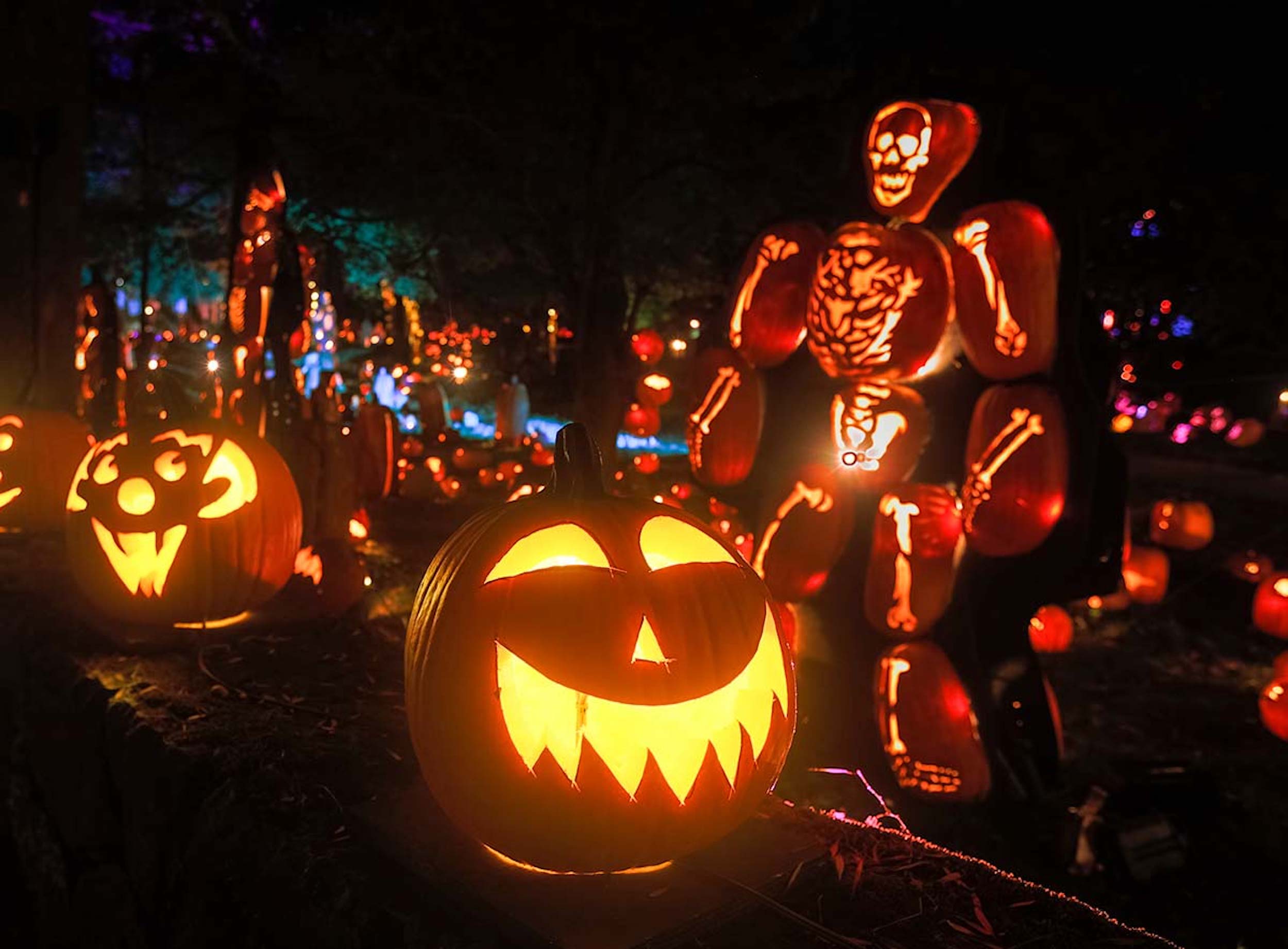 Newsela | From wider corn mazes to virtual haunted houses, Halloween ...