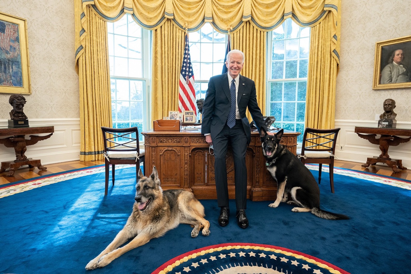 Newsela | Jill Biden lets cat out of the bag: White House dogs to have ...