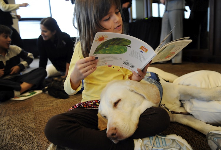 Newsela | Children practice reading with dogs, learn compassion